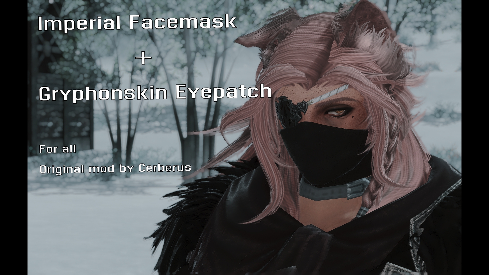 Imperial Facemask With Eyepatch | XIV Mod Archive