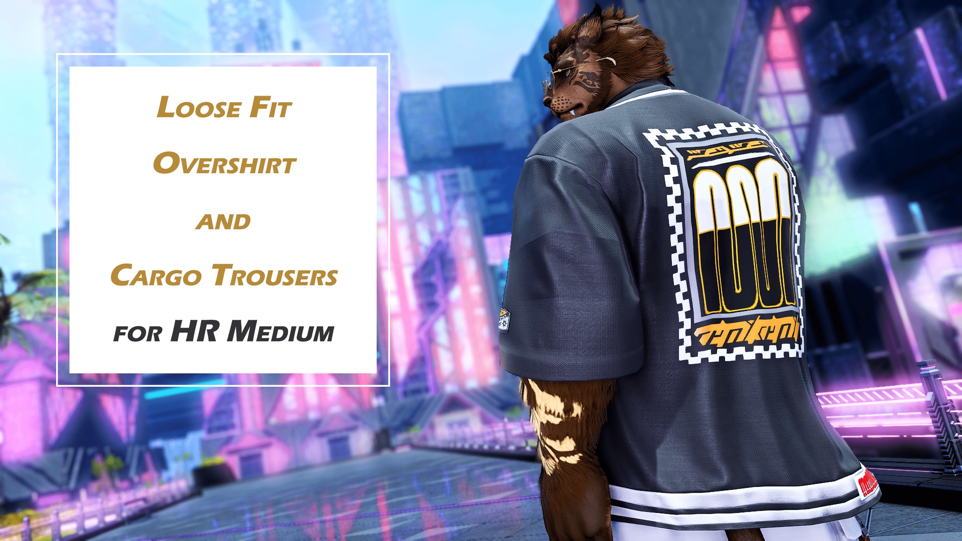 Loose Fit Overshirt and Cargo Trousers for HR Medium | XIV Mod Archive