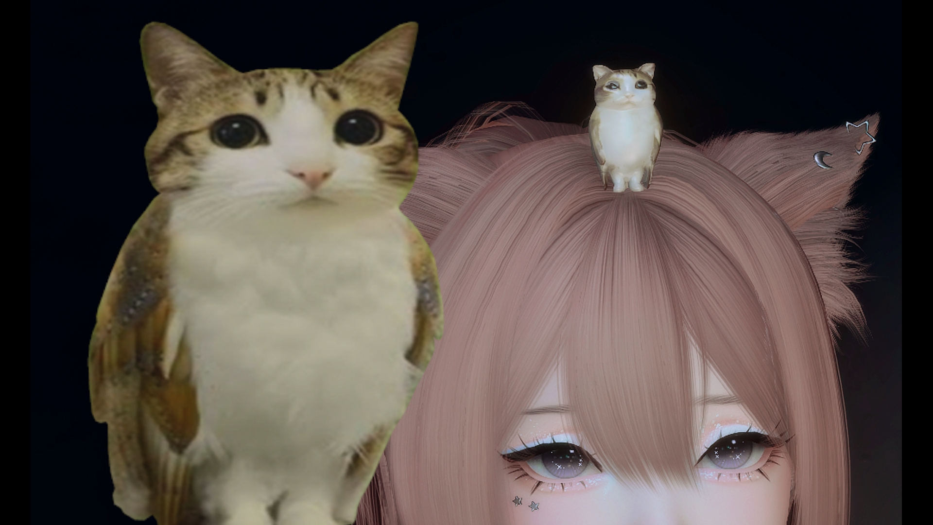 little meowl for f miqo'te | XIV Mod Archive