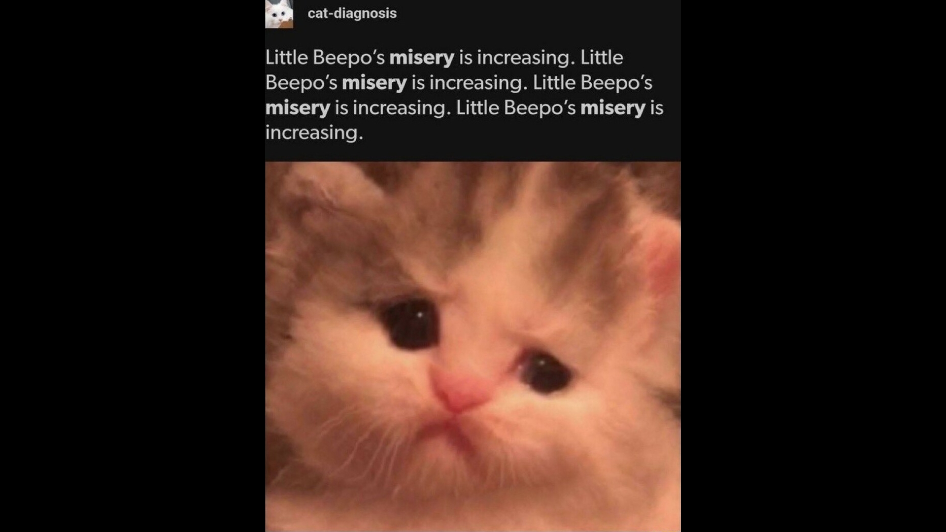 Little Beepo's Misery Increases when you Wipe | XIV Mod Archive