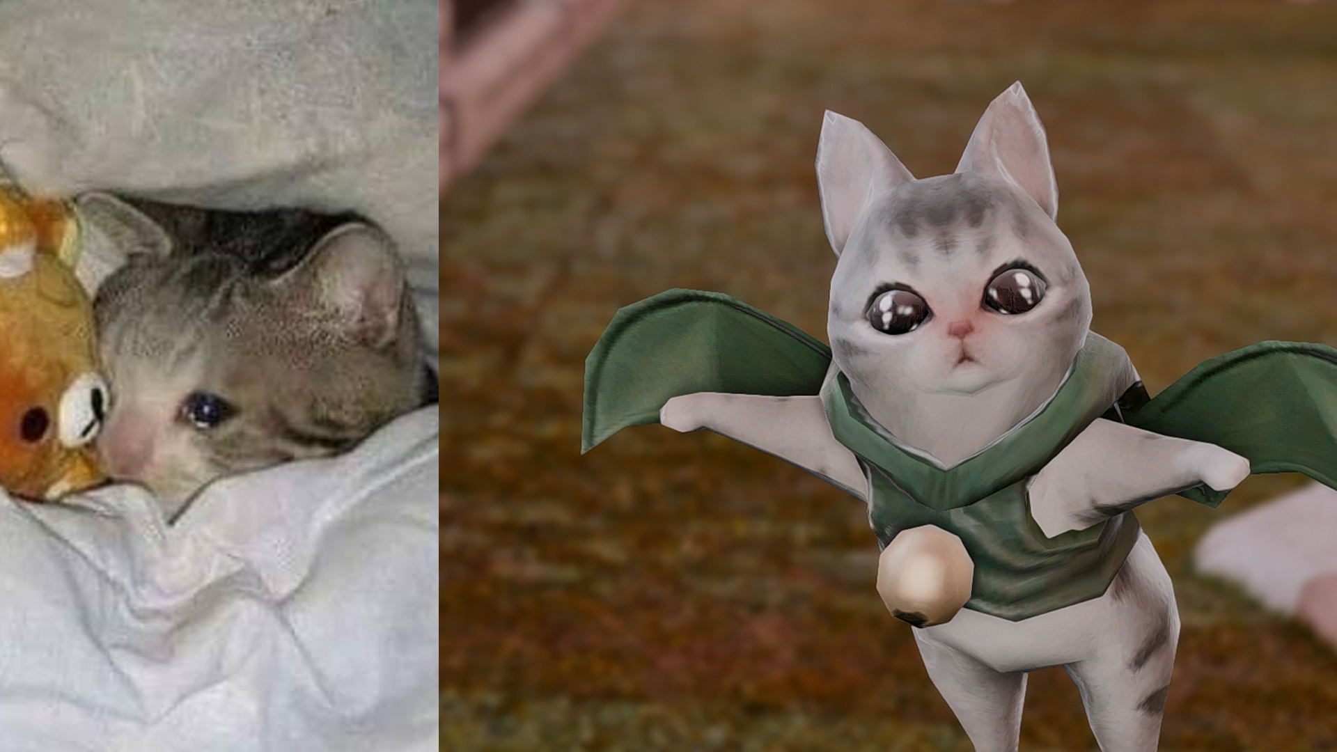 sad cat minion | XIV Mod Archive