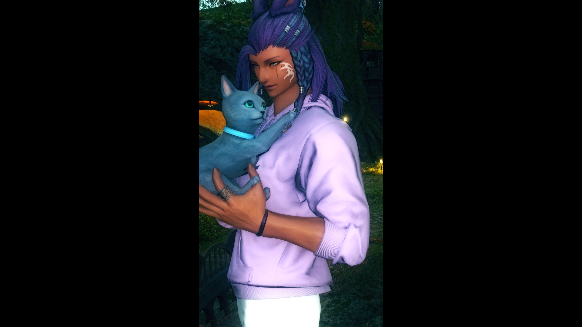 Holding Kitten | XIV Mod Archive