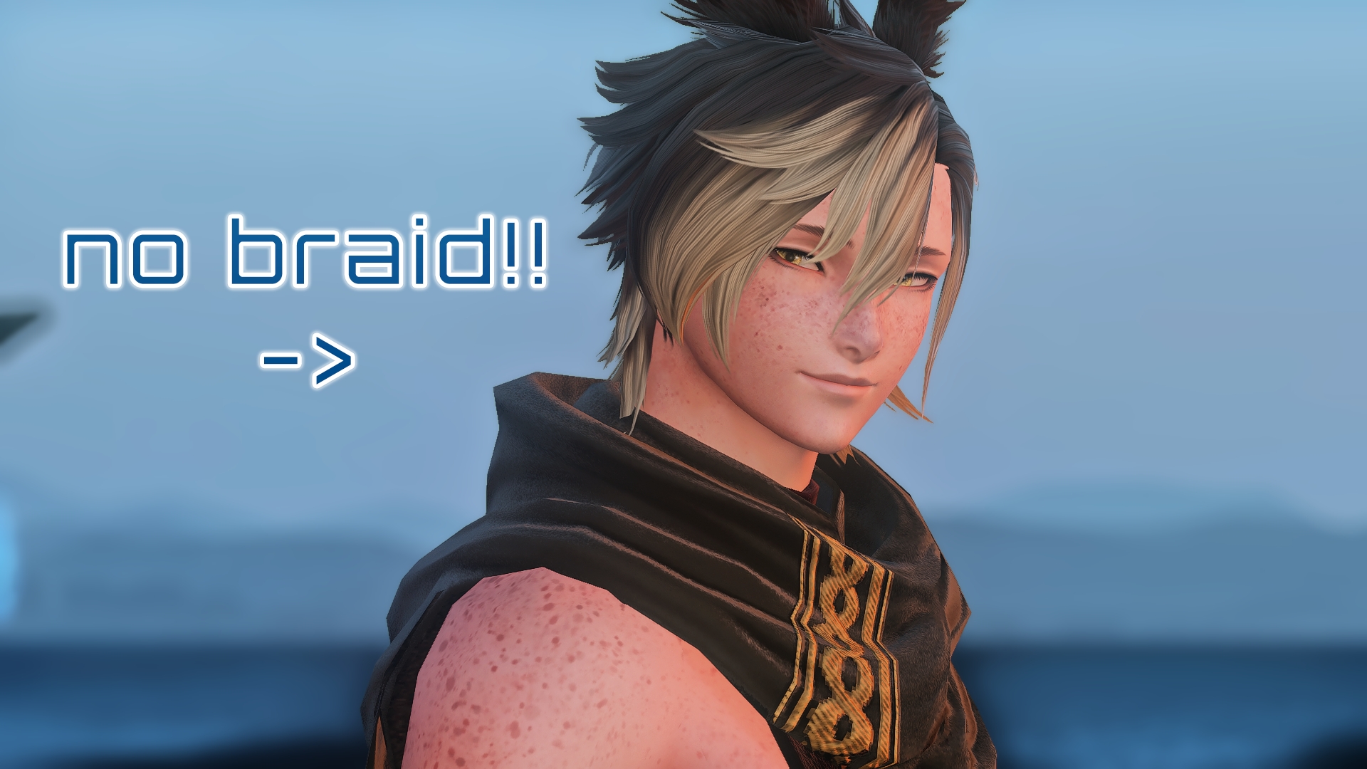 Styled for Hire - No Braid (M Viera) | XIV Mod Archive