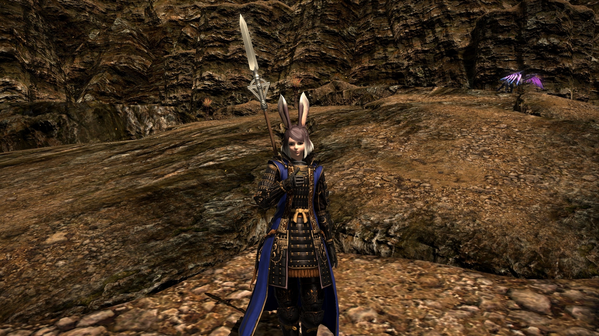 Fem Au Ra Run to Fem Viera | XIV Mod Archive