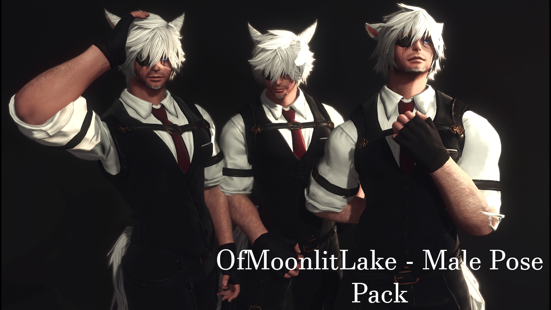 Male Pose Pack by OfMoonlitLake | XIV Mod Archive