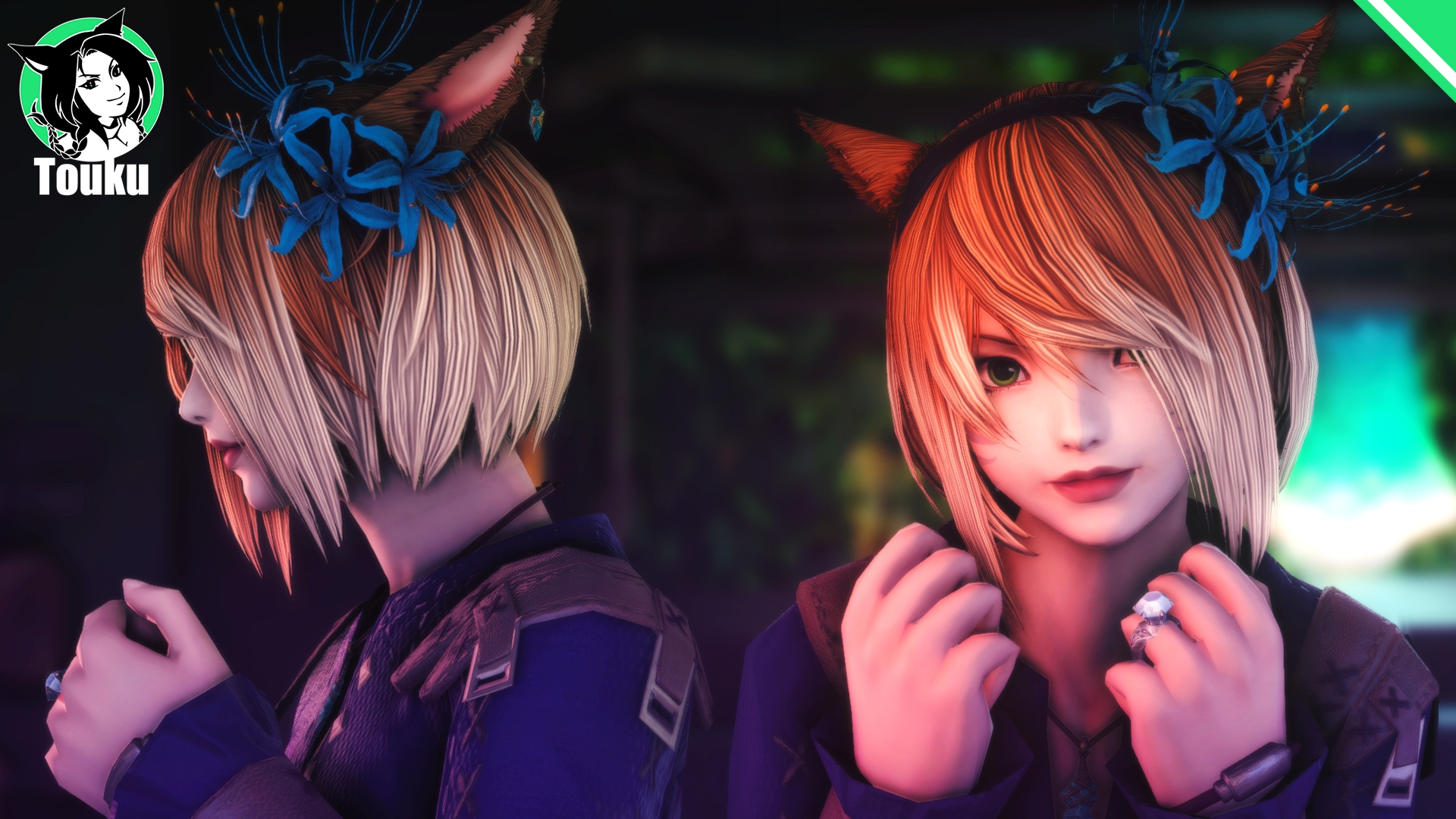 Don't hide your face. [Miqo'te!F Hairmod] | XIV Mod Archive