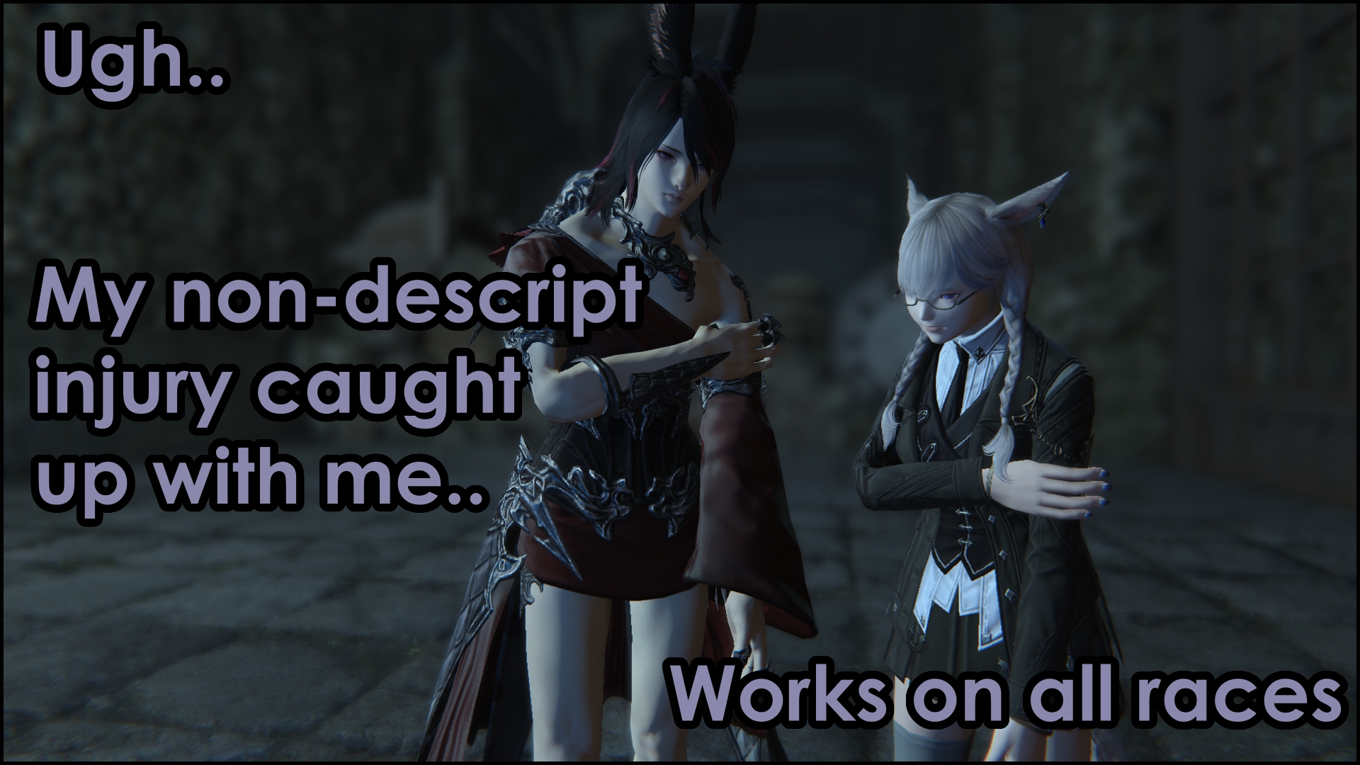 [Anonya] Injured Idle | XIV Mod Archive