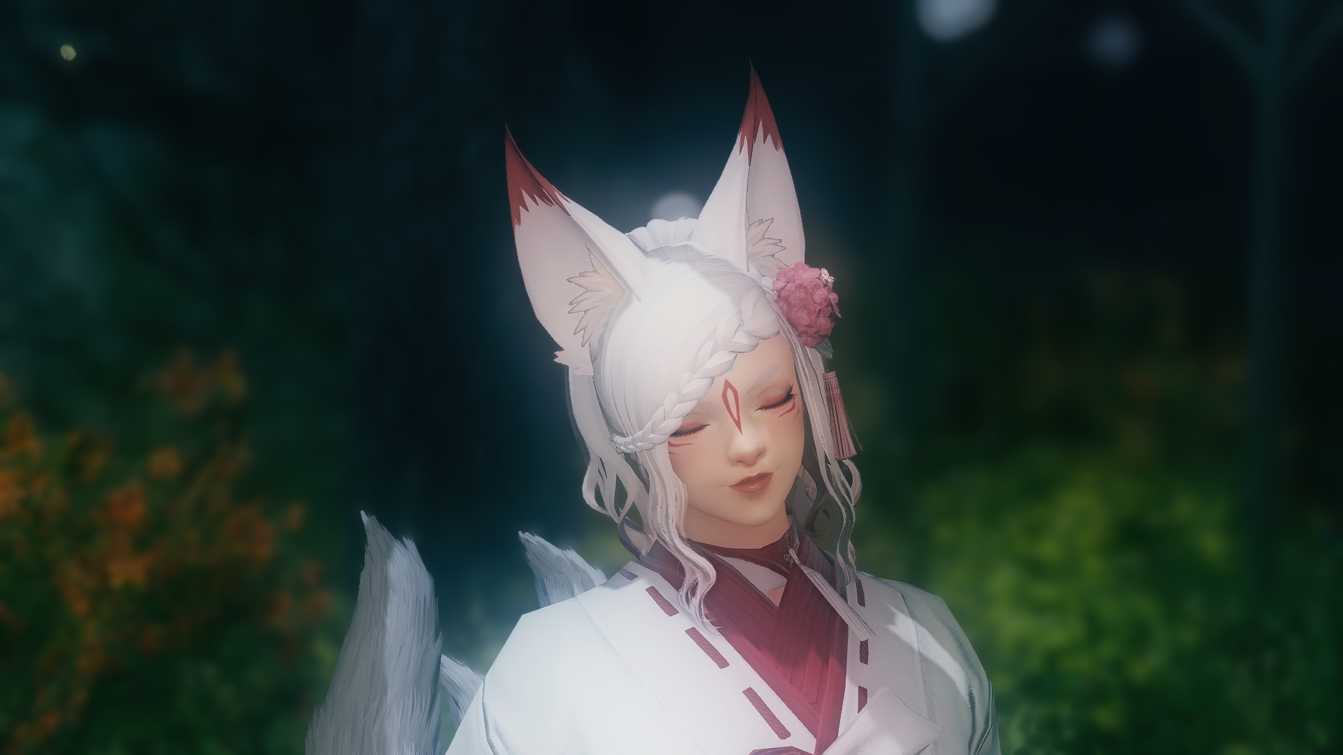 Lye's Fox Ears for Viera | XIV Mod Archive