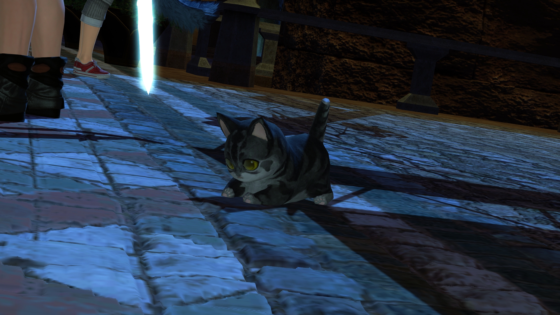 Boots the Cat | XIV Mod Archive
