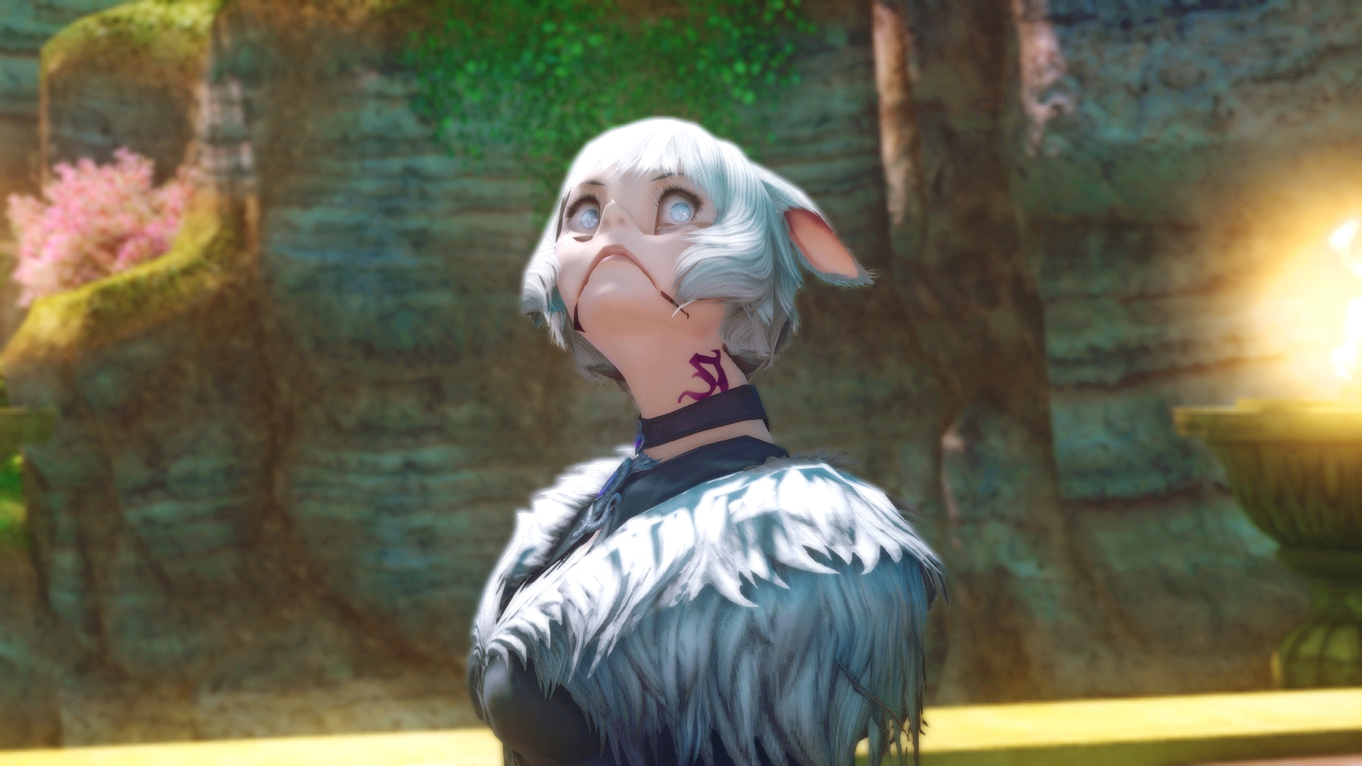 Disapproving Cat | XIV Mod Archive