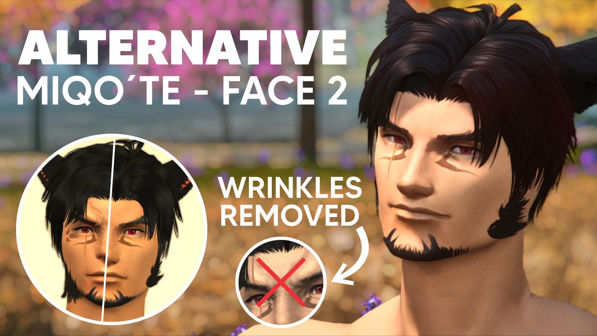 Alternative Miqo'te Face 2 + Wrinkles removed | XIV Mod Archive