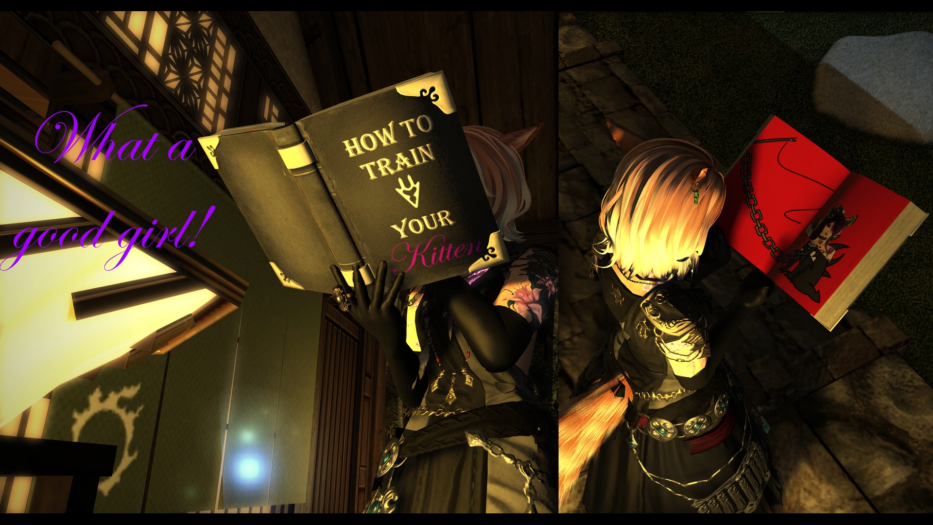 How to Train Your Kitten | XIV Mod Archive