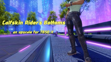 Craftsman's Leather Trousers - TBSE-X | XIV Mod Archive
