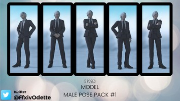 Decorous | XIV Mod Archive