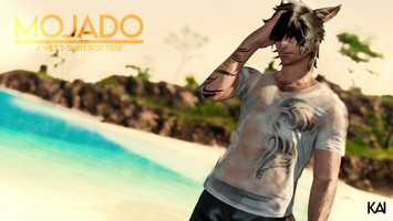 Basic Tee for HR3 | XIV Mod Archive