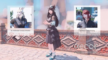 serenity for f talls (TT Converted for DT) | XIV Mod Archive