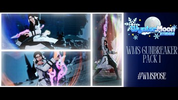 [WMS] Gunbreaker Pack 2 | XIV Mod Archive