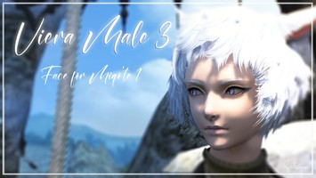 2B Face for Female Miqo'te Seeker 1 | XIV Mod Archive