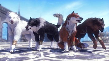 Ceremoney Chocobo To Torgal Biggy Ride Colored | XIV Mod Archive