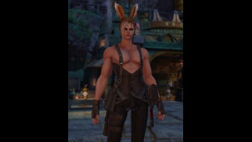 Artful Collegiate - TBSE, TBSE-Q | XIV Mod Archive