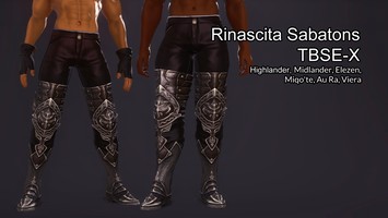 Seigneur's Set TBSE-X | XIV Mod Archive