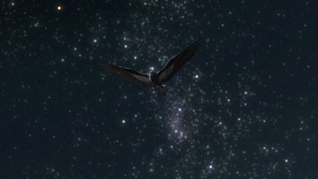 [DT] Craw Transformation | XIV Mod Archive