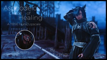 Clouddark Top for (TBSE & Slim) | XIV Mod Archive