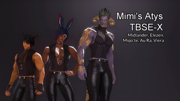 Calfskin Rider's Jacket TBSE-X | XIV Mod Archive