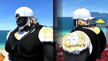 Backwards Calfskin Rider's Cap | XIV Mod Archive