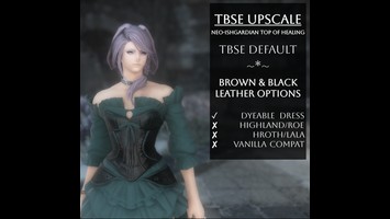 TBSE - Neo-Ishgardian Top of Fending Upscale | XIV Mod Archive