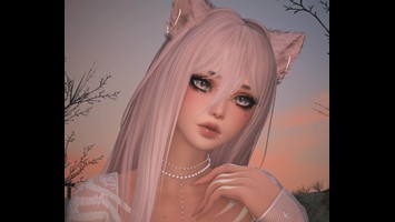 Aerin C+ face Customize | XIV Mod Archive