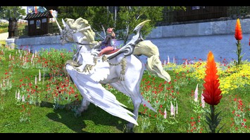Draught Chocobo To Astrope | XIV Mod Archive