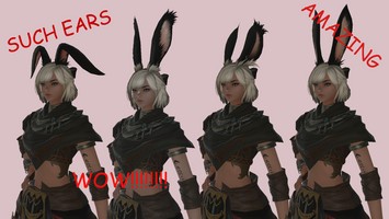 colorful ears - male viera | XIV Mod Archive