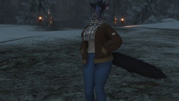 Anemos Jacket Mashup (RT-M) | XIV Mod Archive