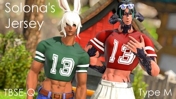 Cropped Tee Graphic Collection (TBSE-Q) | XIV Mod Archive