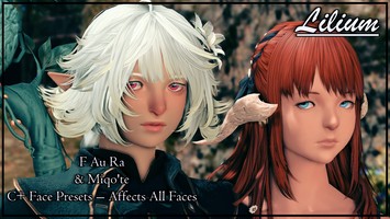 FemRoe Face 3&103 Customize+ Preset | by Toilettengnom | XIV Mod Archive