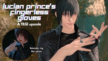 Summer Sunset for TBSE Chonk | XIV Mod Archive