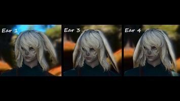 Eirene's Racial Scaling | XIV Mod Archive